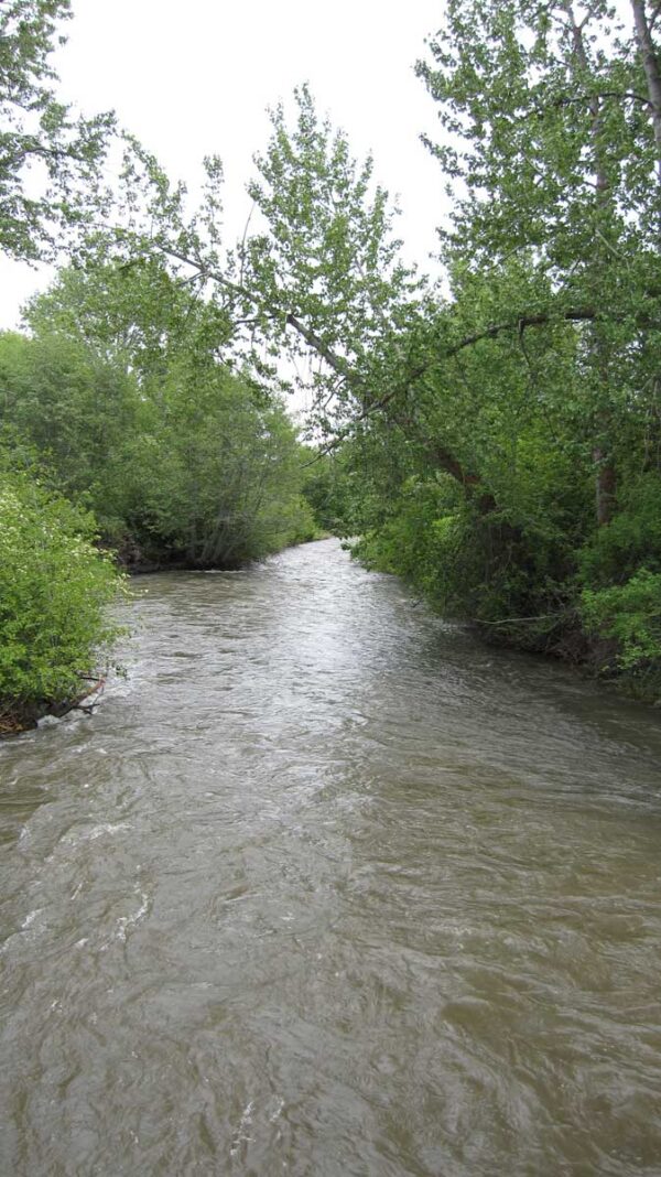 Home - Ahtanum Irrigation District Delivering irrigation water since 1918