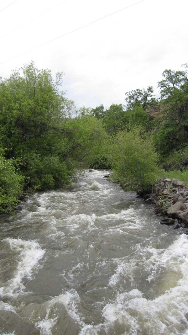 Home - Ahtanum Irrigation District Delivering irrigation water since 1918